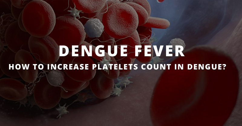 How to increase Platelets Count in Dengue? | Online Medicine Store
